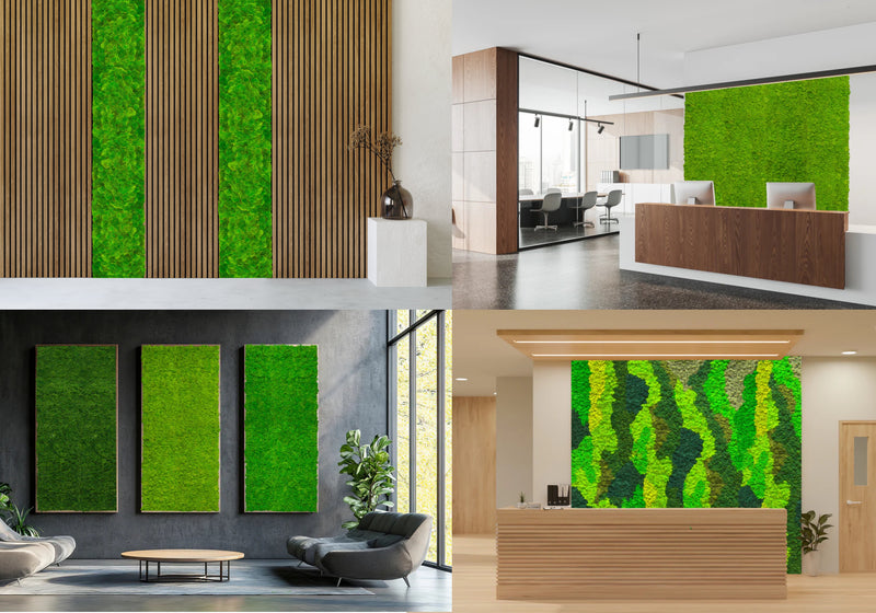 Preserved moss walls – greenplantwalls.co.uk