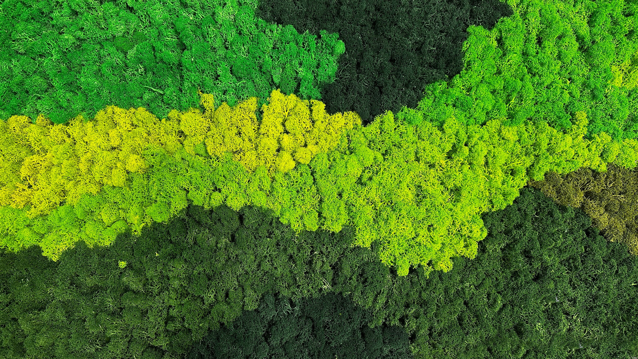 Preserved moss installation guide – greenplantwalls.co.uk